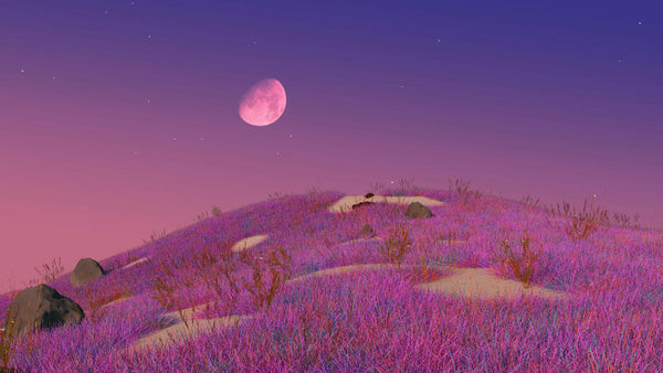 Mondphasen 2026: Alle Neu- & Vollmonde | Dein Ritual-Kalender